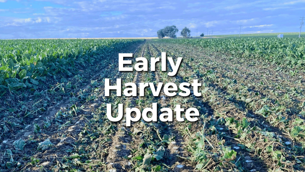 A Great Start to Harvest 2020 - Amalgamated Sugar